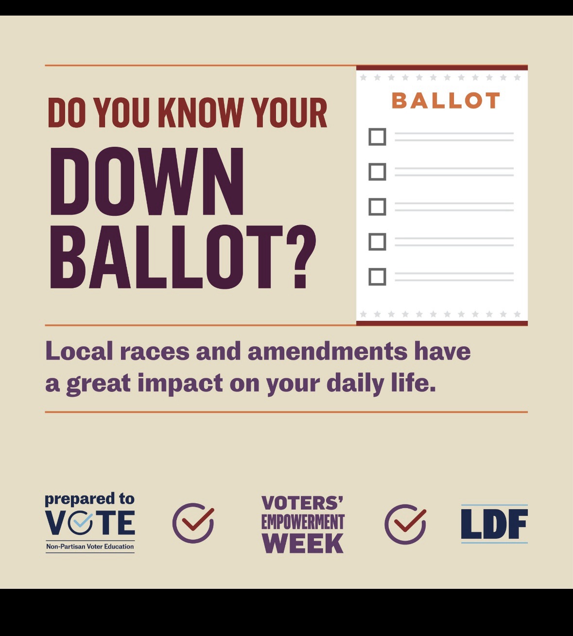 The Importance of Down-Ballot Voting | Civil Rights Today